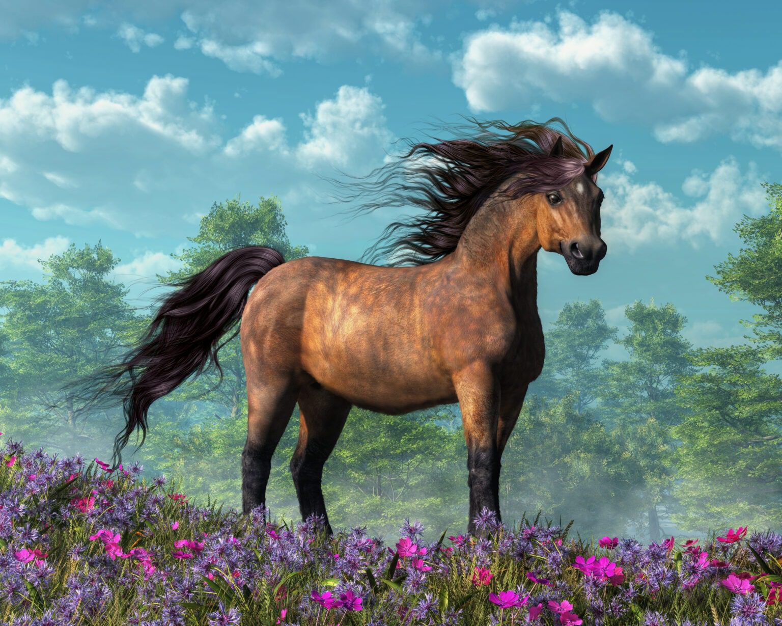 Bild Pferd und Wind - Fototapetenwelt.de
