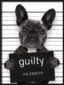 Poster Guilty - Fototapetenwelt.de