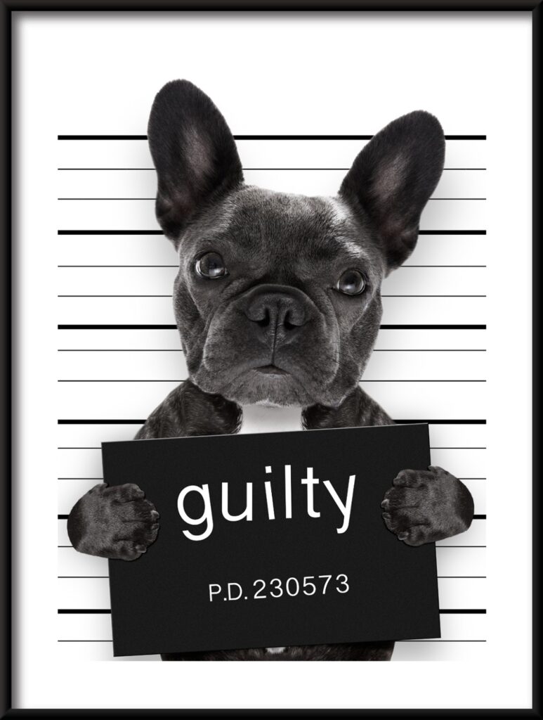 Poster Guilty - Fototapetenwelt.de