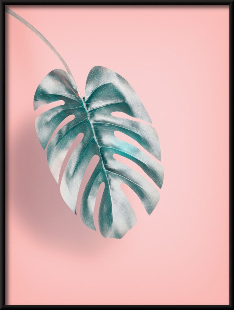 Poster Blatt auf Rosa - Fototapetenwelt.de