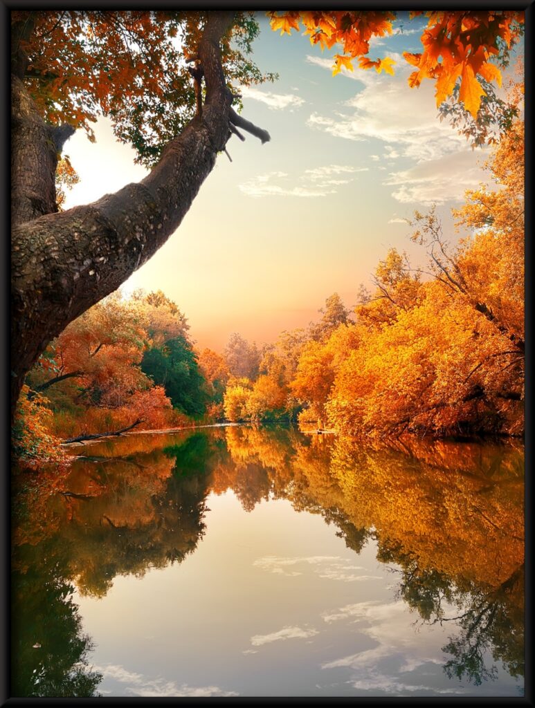 Poster Autumn River - Fototapetenwelt.de