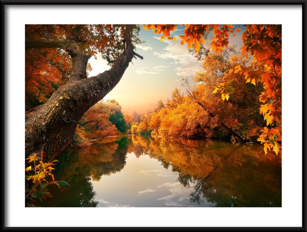 Poster Autumn River - Fototapetenwelt.de