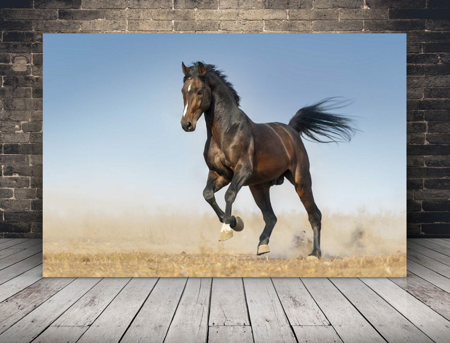 Bild Galoppierendes Pferd - Fototapetenwelt.de