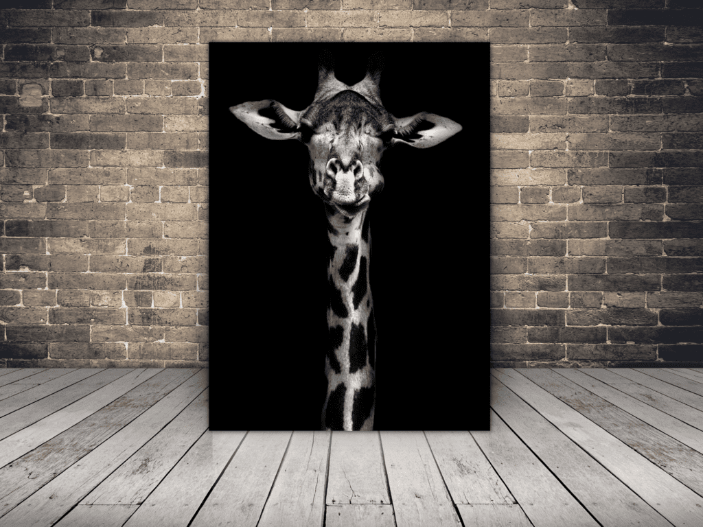 Bild Giraffe - Fototapetenwelt.de
