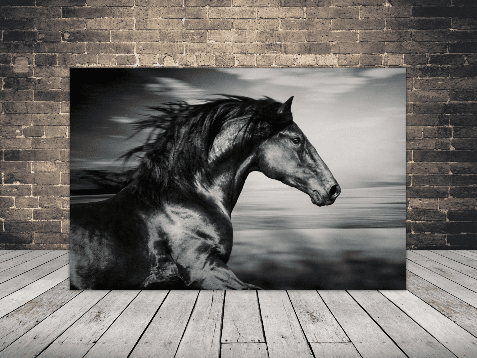 Bild Schwarzes Pferd - Fototapetenwelt.de